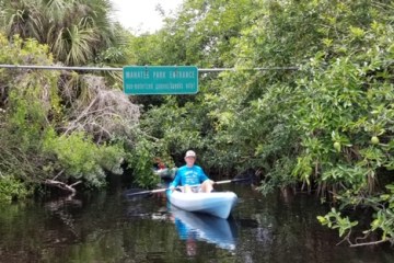 Manatee Kayak Tour - Fort Myers | Manatee Kayaking Company